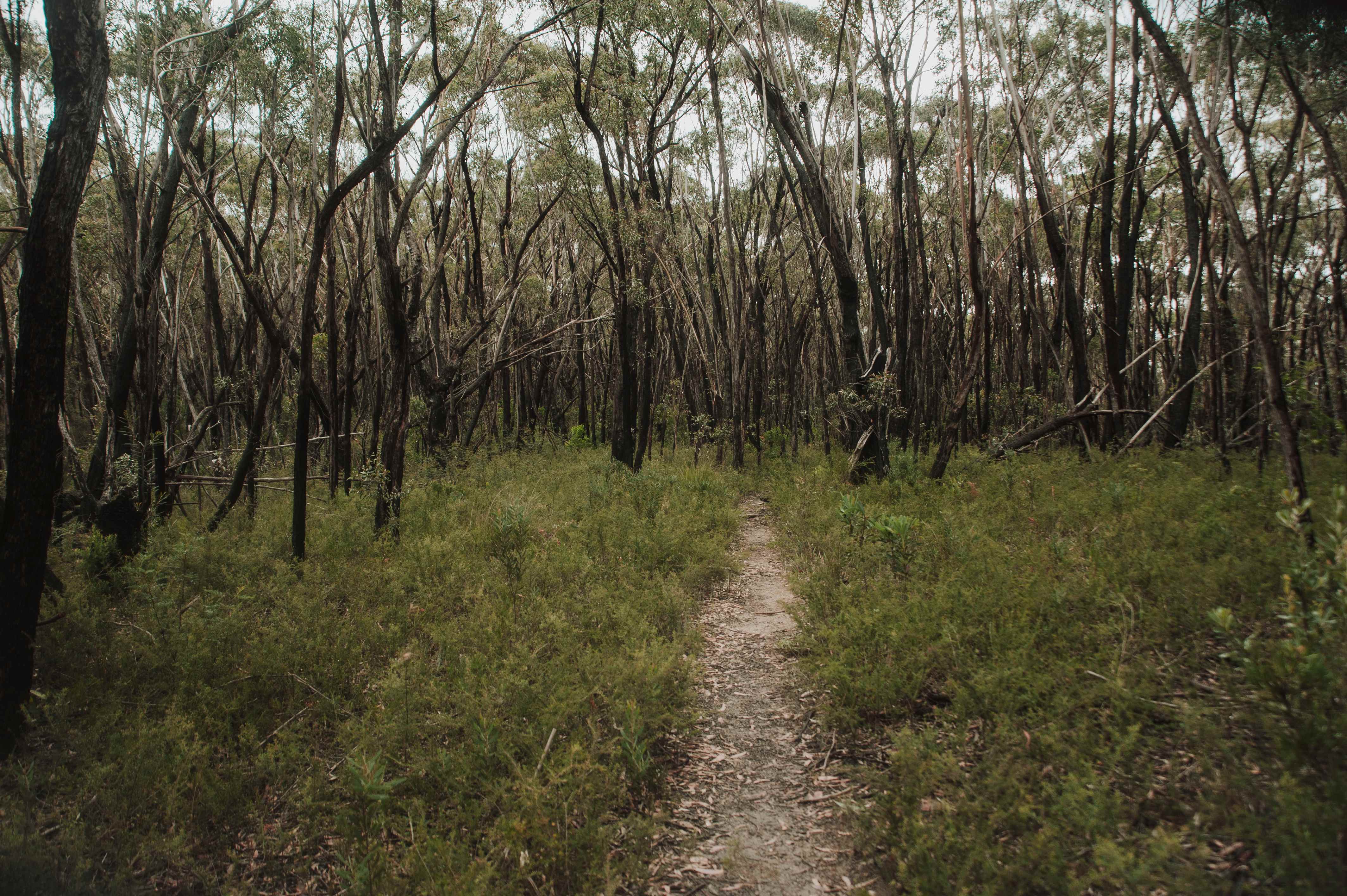 How To Train For A Long Distance Hike Hike Your Story how-to-train-for-a-long-distance-hike-hike-your-story