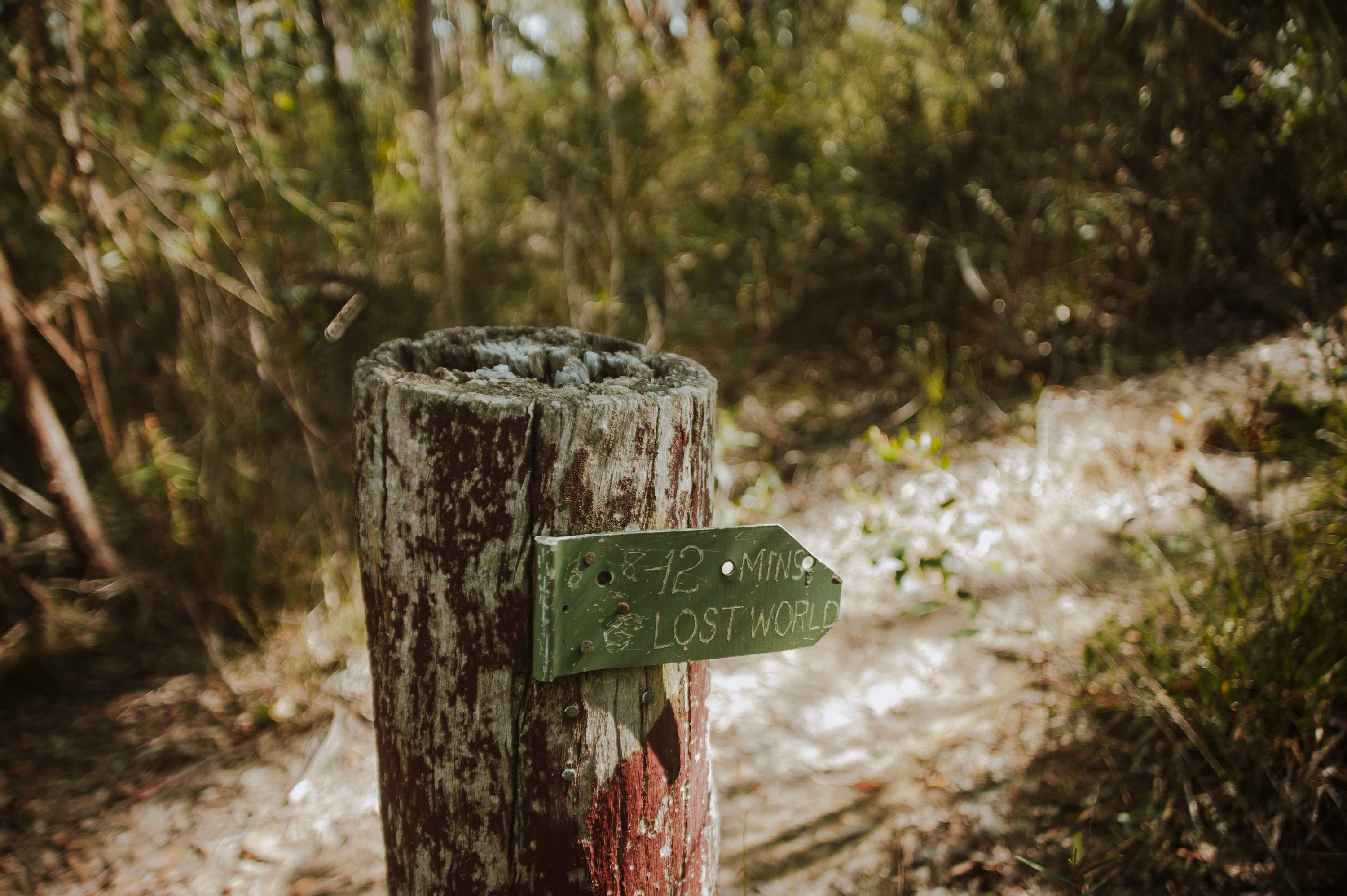 Understanding Trail Markers and Signs – Hike Your Story